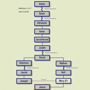 Tracing Mary’s Lineage: Judah, Not Levi – The Bible Vault
